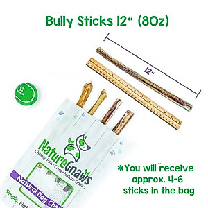 Nature Gnaws Bully Sticks for Dogs - Premium Natural Beef Dental Bones - Long Lasting Dog Chew Treats for Aggressive Chewers - Rawhide Free - Mixed Thickness 8 Ounce (Pack of 1)