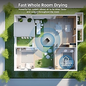 HOGARLABS 2000 Sq Ft 30 Pint Dehumidifier for Home Basements Bathroom Bedroom, Dehumidifier with Drain Hose for Medium to Large Room, Intelligent Humidity Control Dehumidifier with Laundry Dry