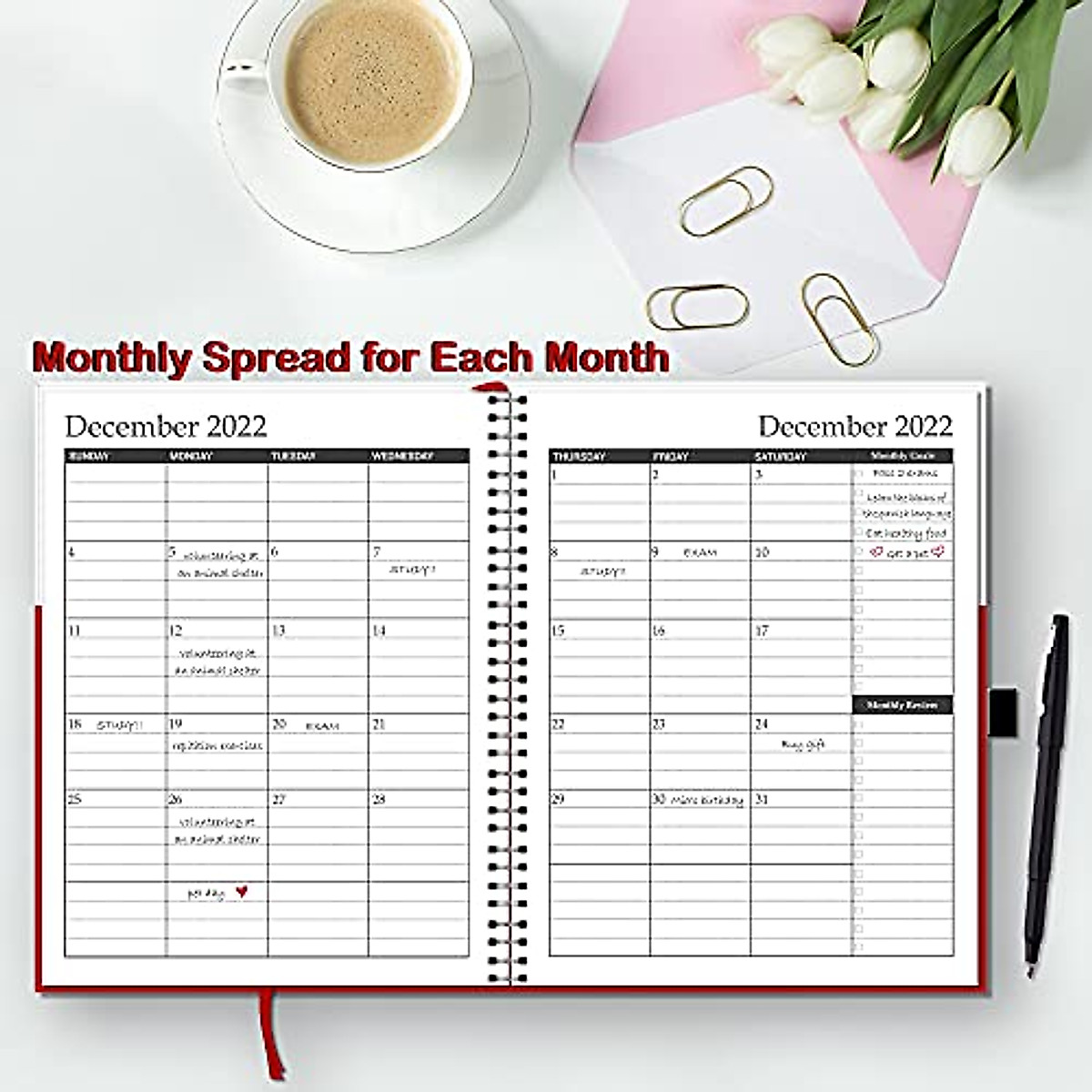 Appointment Book 2023 2024 Daily & Hourly 15 minutes, Schedule Planner Book by Strive Zen, HARDCOVER, Large, 8.5" x 11", Hourly, Weekly Planner, Monthly Planner, 18 Months, January 2023- July 2024