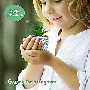 Karlliu Artificial Plants Succulent Flowers in Ceramic Planter 2 Pack Small Fake Plants Potted for Home Office Desk Decor Farmhouse Living Room Bedroom Shelves Decoration