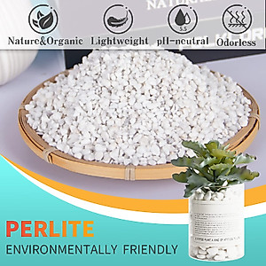 Malifea 2 QT Organic Perlite for Plants，Natural Horticultural Soil Additive Conditioner Mix，Improve Drainage and Ventilation, Promote Root Growth and Soil Health, Ideal for Potting Mixes