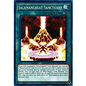Yu-Gi-Oh! - Salamangreat Sanctuary - SDSB-EN025 - Common - 1st Edition - Structure Deck: Soulburner