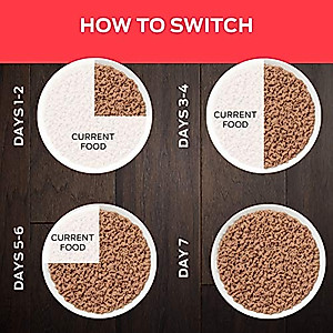 Purina Pro Plan Veterinary Diets DM Dietetic Management Feline Formula Wet Cat Food - (24) 5.5 oz. Cans