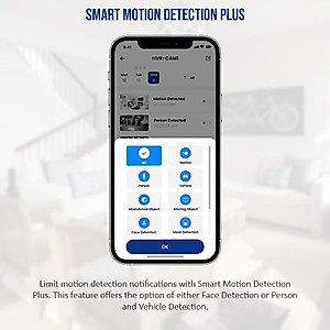 Lorex 4K Ultra HD Smart Deterrence IP 8MP Remote Access Dome Camera with Smart Motion Detection Plus Bundle (2-Pack) (2 Items)