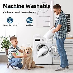 YSTHER Down Feather Throw Pillow Inserts 14x22 Set of 2 Firm Large Lumbar Pillows for Bed Decorative Couch Soft Pillows for Sleeping Indoor White Cotton Pillow Sofa Travel