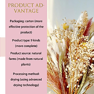 120 Pcs Natural Dried Pampas Grass Bouquet Boho Home Decor Dried Flowers for Fall Decor Bouquet Wedding for Centerpiece Table Decor Rustic Farmhouse Party Decor