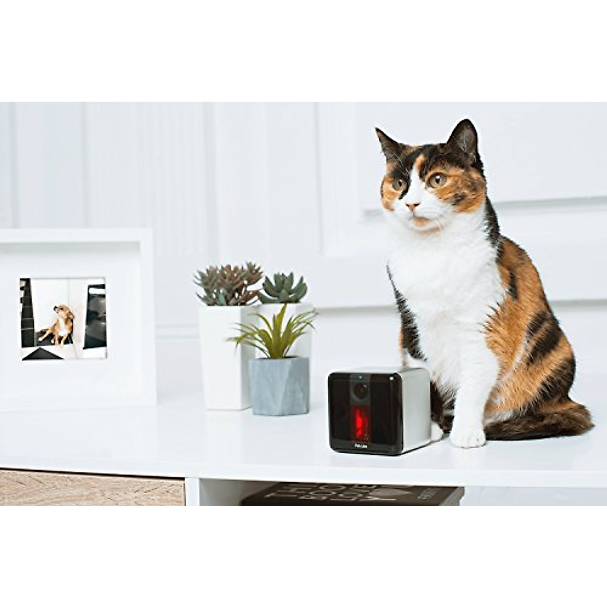 Petcube [2017 Item] Play Smart Pet Camera with Interactive Laser Toy. Remote Dog/Cat Monitoring with HD 1080p Video, Two-Way Audio, Night Vision, Sound/Motion Alerts. App-Enabled Pet and Home Safety