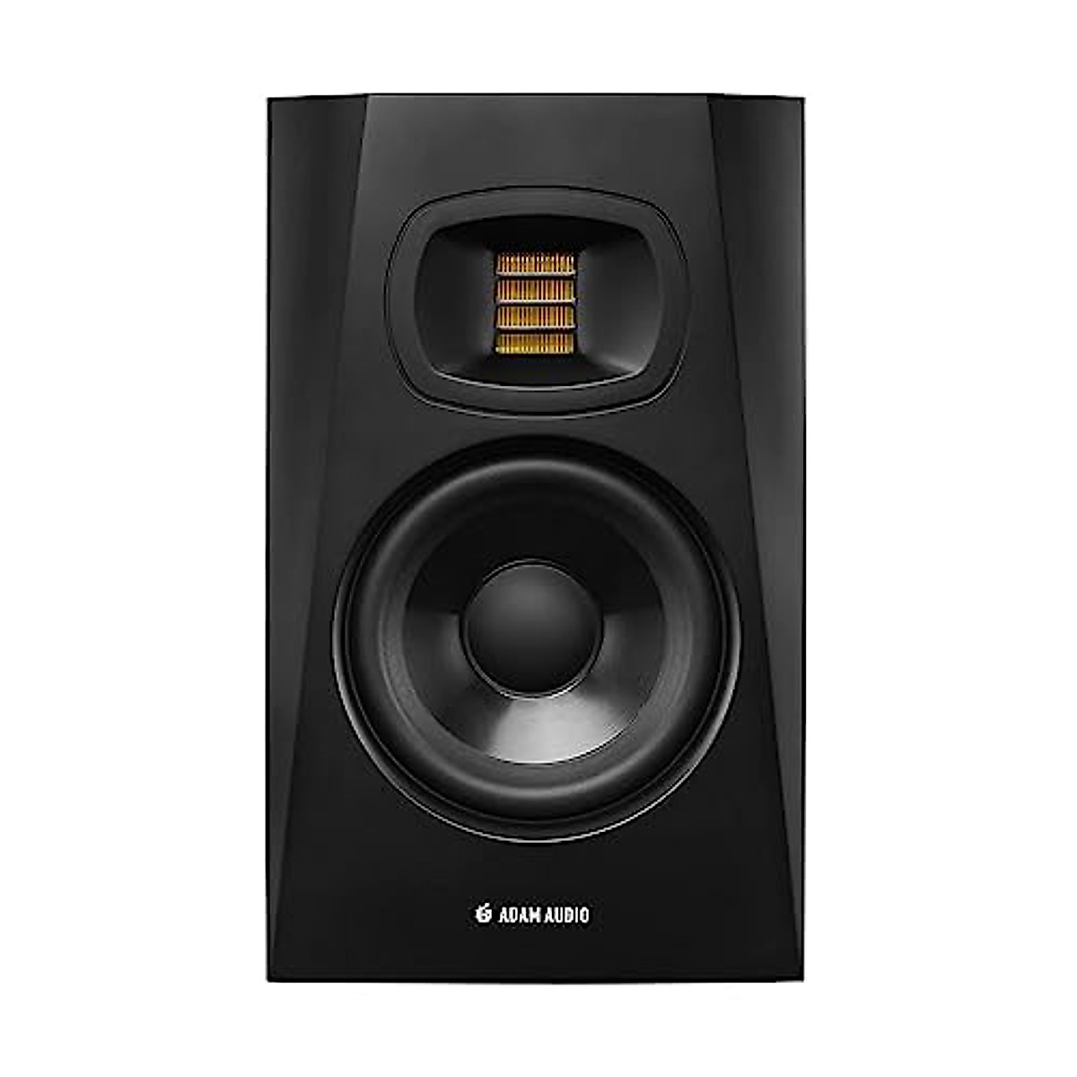 ADAM Audio T5V Active Nearfield Monitor (2-Pack) Bundle with 25-Feet XLR Male to XLR Female Microphone Cable (2-Pack) (4 Items)