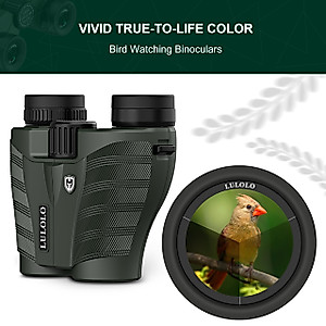 12x30 Compact HD Binoculars for Adults and Kids High Powered - Large View Binoculars with Clear Low Light Vision - Super Bright Lightweight & Waterproof Binocular for Bird Watching Travel Hunting