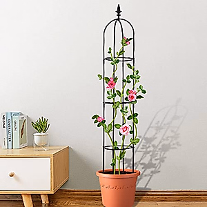 Lalahoni Trellis for Climbing Plants Outdoor, Rustproof Plant Support Potted Flowers Vegetable Vine Indoor Outdoor Garden Obelisk, 6ft Tall Rose Black 1pc