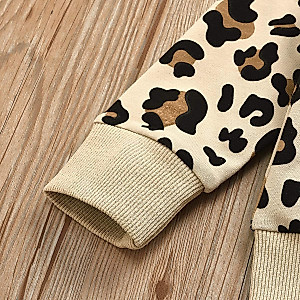 BOEBNOZCV Toddler Baby Girls Boy Leopard Print Sweater Long Sleeve Pullover Tops Blouse Sweatshirt Autumn Clothes (Leopard,5-6T)