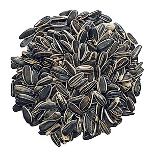 Pendelton Turf Supply Striped Sunflower | All-Natural, Premium Bird Food (5 lb Resealable Bag)