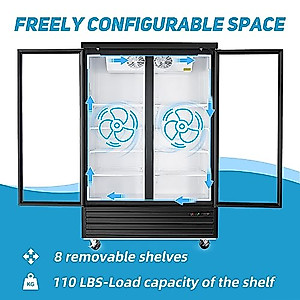BLUELINETECH Commercial Display Freezer 35 Cu.ft, Double Swing Glass Door Reach in Fridge with 8 Shelves LED Lightning, 56.4" W, -8℉-0℉