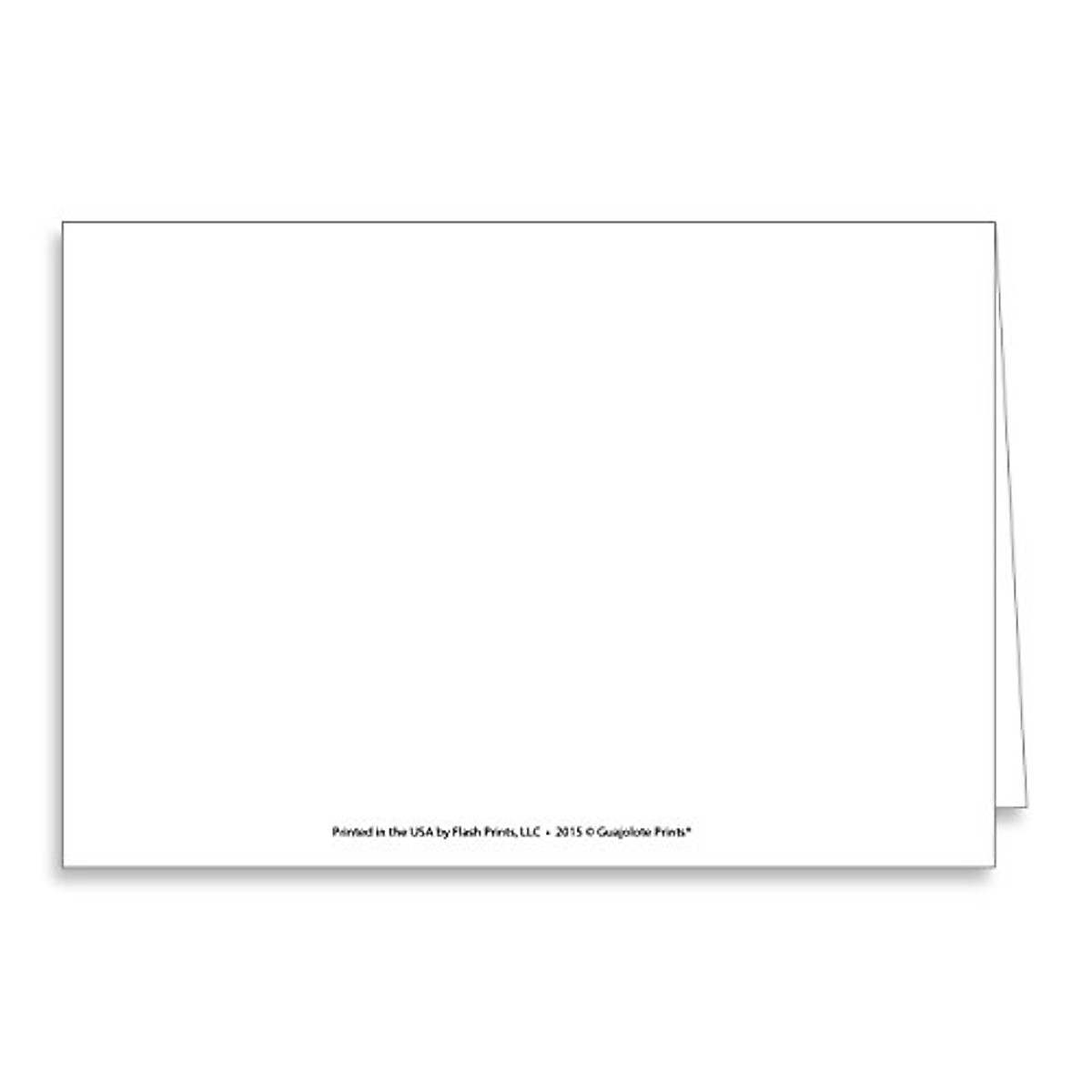 Muchas Gracias Greeting Cards with Envelopes - Simple, Blank, Black Imprint (12 Count)