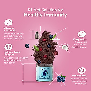 kin+kind Superfood Supplement Set for Dogs & Cats, Boost Immunity, Promotes Healthy Skin & Coat, Hip & Joint, Healthy Digestion, Made in USA, Small 4 Ounce (Pack of 4)