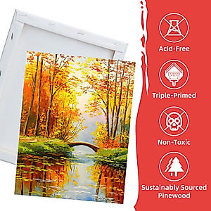 Simetufy 8x10 Inch Stretched Canvas for Painting, 12 Pack 100% Cotton Professional Blank Canvas, Canvases for Painting Using Acrylic Paint or Oil (Pre-Primed)