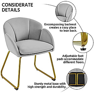 Yaheetech Flower Shape Velvet Armchair, Modern Side Chair Vanity Chair with Golden Metal Legs for Living Room/Dressing Room/Bedroom/Home Office/Kitchen, Gray
