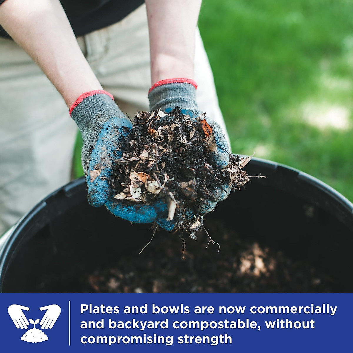 Dixie Ultra Paper Plates, 10 1/16 inch, Dinner Size Printed Disposable Plate, 172 Count (4 Packs of 43 Plates), Packaging and Design May Vary