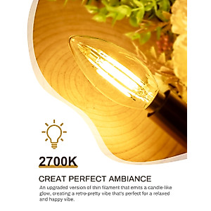 DORESshop Led Light Bulb, 40W Equivalent E12 Light Bulbs Led Light Bulb, Edison Bulbs, Chandelier Light Bulbs, Non-dimmable C35 Edison Filament Candle Bulbs, Soft White Light Bulbs 2700K,Decorative