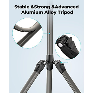 Viozon 12'' Ring Light with Extendable 79'' Tripod, Compatible with 3.5-6.7'' Phone &DSLR,Remote Control,Dimmable LED Selfie Circle Lights for YouTube/Tiktok/Photography/Zoom Meeting