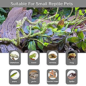 Hamiledyi Bearded Dragon Tank Accessories Reptile Dinosaur Skull Hideout Decor Reptile Climber Jungle Vines Artificial Leaves for Iguana Lizard Chameleon Snake Frog Gecko Frogs(3 PCS)