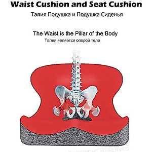 Odekai Ergonomic Seat Cushion for Office Chair, Orthopedic Memory Foam Coccyx Cushion for Tailbone Pain - Office Chair Car Seat Cushion - Seat Cushions for Pressure Relief