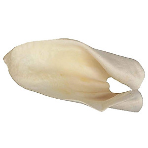 Redbarn All-Natural Cow Ears Premium Chews for Dogs - Single Ingredient Grain-Free Dental Treats with Chondroitin for Joint Health - Made in USA with No Artificial Ingredients - 9 Count