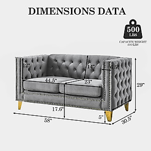 JEEOHEY Chesterfield Sofa,Oversized Velvet Loveseat Sofa Couch,2 Seater Deep Seat Sofa,Modern Sofa Chair with Button Nailhead,Upholstered Futon Couches,Furniture for Living Room,Bedroom,Office(Grey)