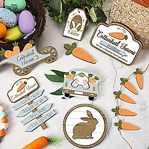 Easter Tiered Tray Decor Spring Table Wooden Sign Decorations Easter Tabletop Farmhouse Signs Carrot Egg Bunny Decor for Easter Party Home Kitchen Holiday (Carrot, 12 Pcs)