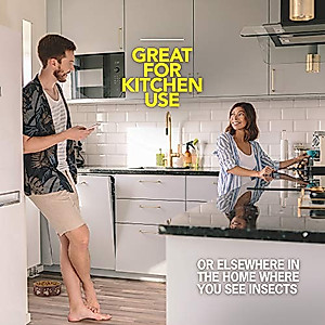 Raid Ant and Roach Killer, Aerosol Spray with Essential Oils 11 Ounce (Pack of 1)