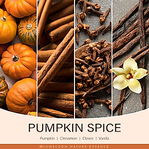 LUMELOOM Fall Candles, Pumpkin Candle - 9oz Aromatherapy Cinnamon Pumpkin Spice Scented Soy Wax Candle - Pumpkin Candle for Home, Autumn Candle, Fall Gifts for Women