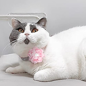 IDOLPET Cat Collar Bling Diamond Breakaway Cat Collar with Bell Rhinestones Pet Collars with Soft Velvet Adjustable Shine Collar for Cats Girls and Small Dogs Puppy (Pink)