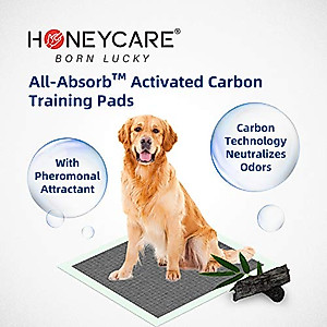 HONEY CARE All-Absorb Puppy Training Pads Dog Potty Pads Absorb Eliminating Urine Odor, Jumbo-Size Charcoal Puppy Pee Pad (Carbon, XL 28x34 inch, 40ct)