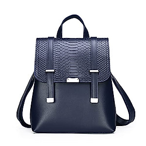 Travel Backpack Fashion Handbags Classic Female Shoulder Bag Casual Rucksack Crossbody Bags for Women (Blue)