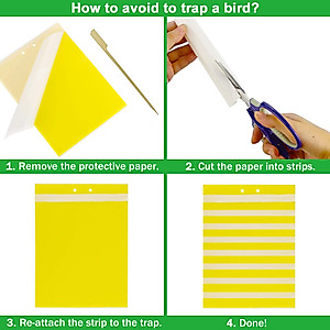 60 Sheets Sticky Fly Traps, Dual-Sided, for Flying Insect, Indoor and Outdoor, Twist Ties and Sticks Included, 8x6 Inch, Yellow