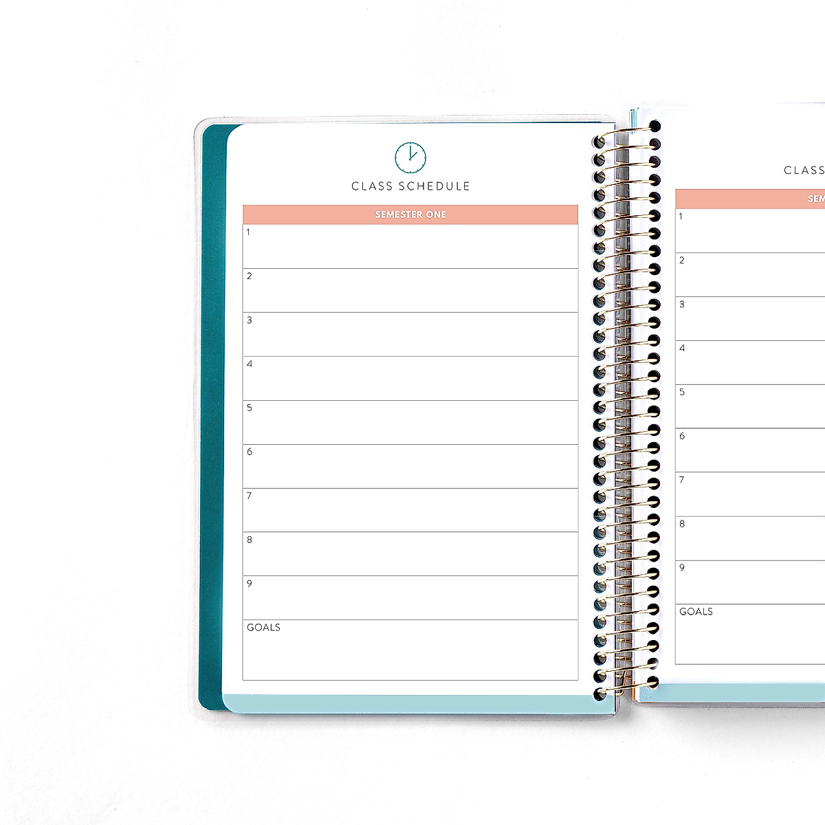 PPP Academic Planner 2023-2024 (Floral) - Student Planner | Weekly & Monthly Checklist | Class Schedule Layout | Budget & Savings Worksheets | Sturdy Coil Binding w/Stickers | Poly Laminated Cover…