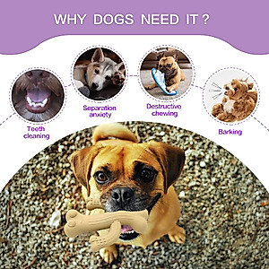 Medlladle Dog Chew Toys Cactus for Aggressive Chewers Small Breed, Indestructible Tough Dog Toys for Puppies Pet Toy with Durable Natural Rubber