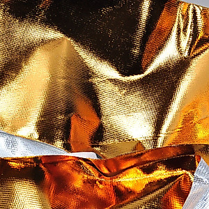 AIVYNA Coatings Foil Lame Knit 59inch Wide Metallic Fabric Covering Plants by The Yard(1Yard Gold)