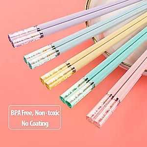 Chopsticks Reusable Dishwasher Safe, 9.63 inch/24.3cm Fiberglass Non-Slip Chop Sticks, Chinese/Japanese Chop Sticks for beginners, Sakura Chopsticks Colorful- 5 Pairs