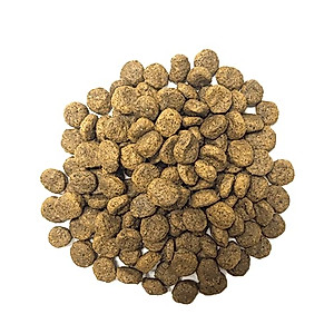 Muenster Perfect Balance OceanFish Meal Grain Free Recipe – Gluten Free Dry Dog Food - Complete and Balanced Kibble for Large, Medium or Small Breed Dogs, 25 lb