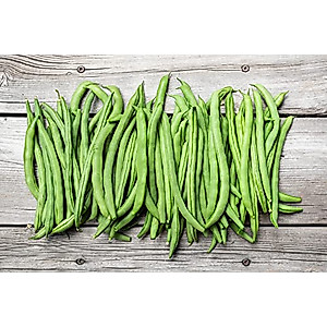 Blue Lake Pole Bean Seeds for Planting, 50+ Heirloom Green Bean Seeds Per Packet, (Isla's Garden Seeds), Non GMO Seeds, Botanical Name: Phaseolus vulgaris