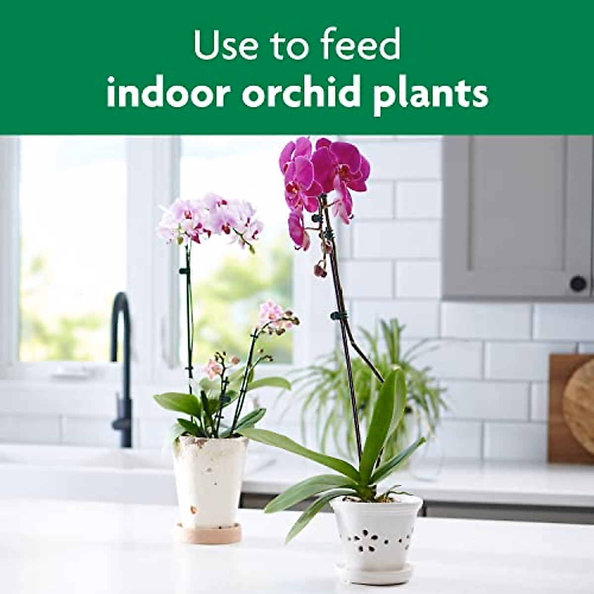Miracle-Gro Ready-To-Use Orchid Plant Food Mist, 8 oz., Orchid Food Feeds Plants Instantly, 1 Pack