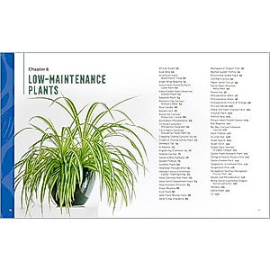 Houseplants for Beginners: A Practical Guide to Choosing, Growing, and Helping Your Plants Thrive