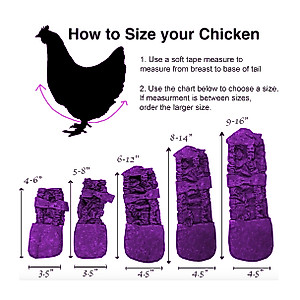 Washable Chicken Diapers for Hens or Roosters - Fashionable Nappy - Pet Chicken Diaper (Star Spangle, Small)