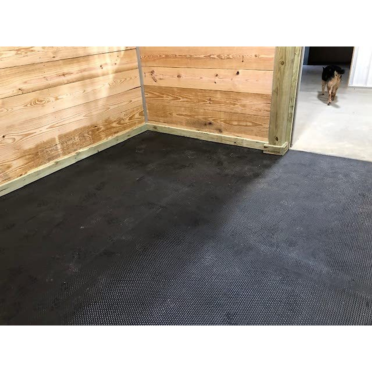 Tru-Stall 1 Piece 3/4" Thick Rubber Mat - 14' x 14' - Horse Stall Mat, Extra-Large Seamless Rubber Mat, One Piece Rubber Flooring for Horses, Stalls, Gyms, Garages, Barns, and More