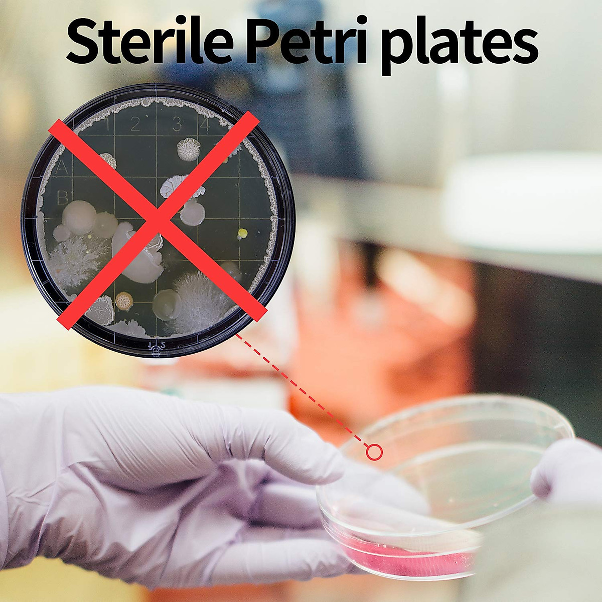 Young4us Petri Dish Set with Lids, 12 Pack Sterile Petri Plates in 3 Sizes with 12 Pack 3ml Plastic Dropper Pasteur Pipettes for Lab, Experiment, Biology, Microbiology Studies (Pack of 24)