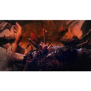 Wo Long: Fallen Dynasty - PlayStation 4