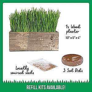 The Cat Ladies Cat Grass Kit Complete with Rustic Wood Planter, Organic Seed and Soil. Easy to Grow - Great for Indoor or Outdoor Cat, Dogs and Other Pets. Prevent Hairballs and Aid Digestion…