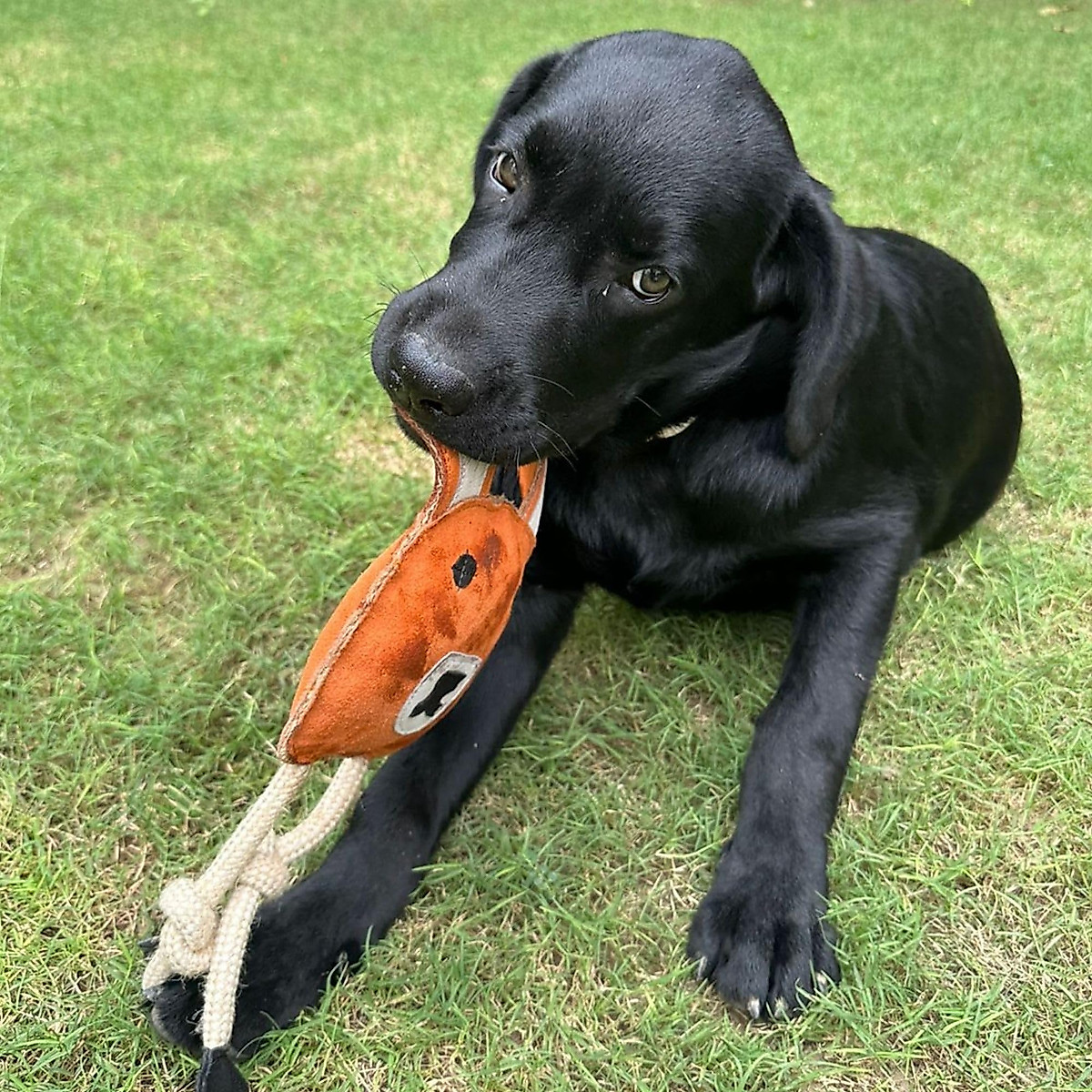 Frezco Llama Dog Rope Toy | Handmade with Natural Suede Leather and Tough Cotton Rope | Ideal for Teething, Puppy, Small and Medium Dogs | 100% Stuffed with Coconut Fibers