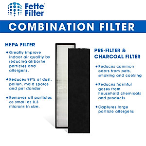 FLT4825 True HEPA H13 Filter B Compatible with GermGuardian Air Purifier AC4300BPTCA AC4900CA AC4820 AC4825 AC4870 AC4825DLX AC4850PT CDAP4500BCA CDAP4500WCA AP2200CA BLACK+DECKER BXAP148. 2-Pack